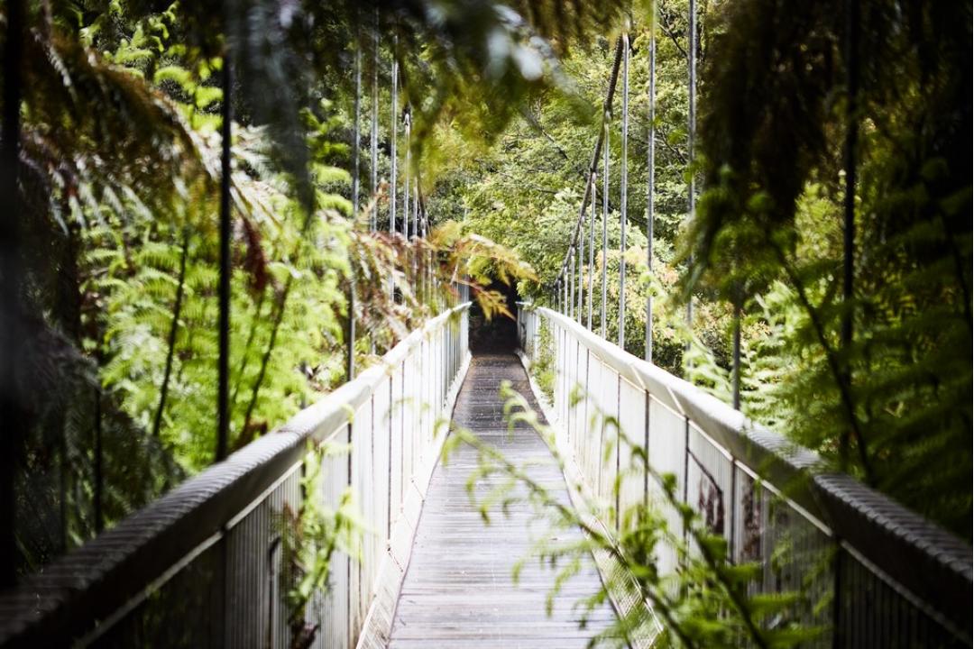 Tarra Valley Retreat Official Site - Local Attractions