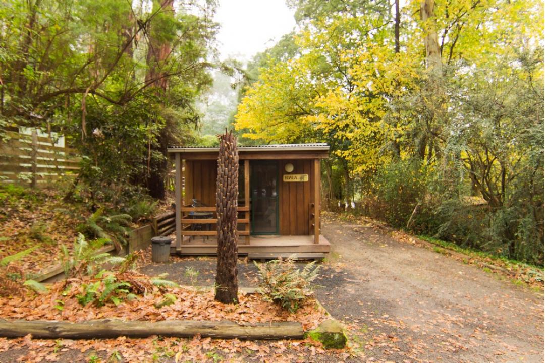 Tarra Valley Retreat Official Site - Cabins