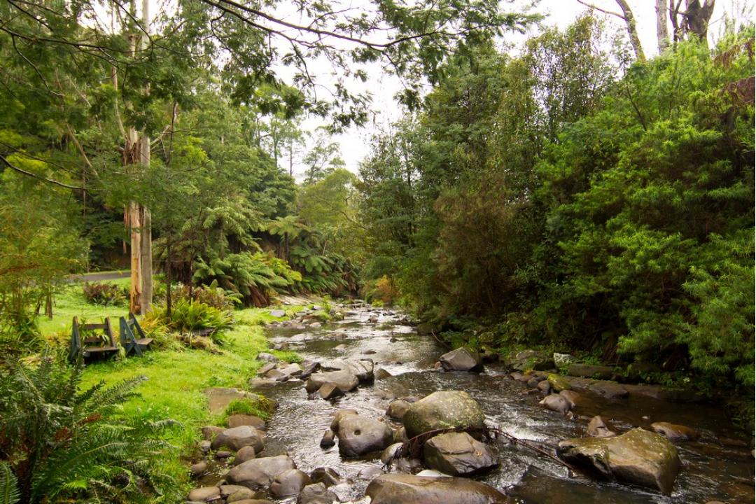 Tarra Valley Retreat Official Site - About