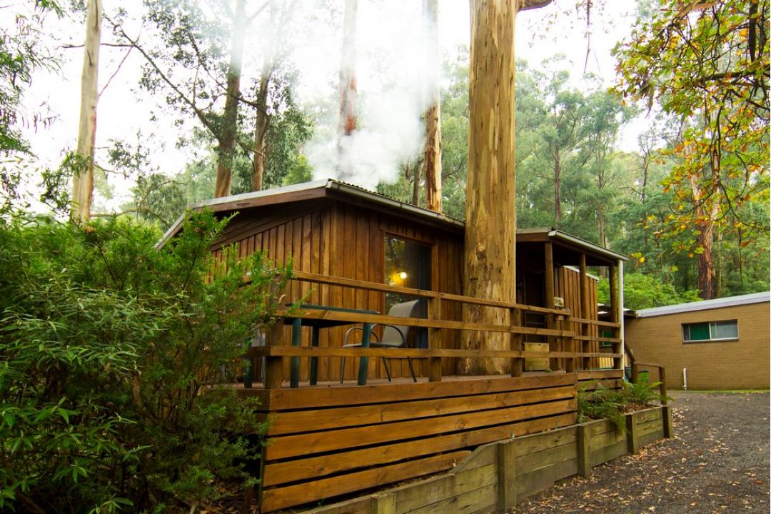 Tarra Valley Retreat Official Site - About