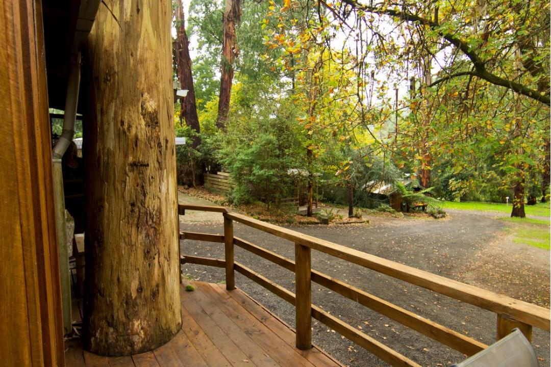 Tarra Valley Retreat Official Site - About