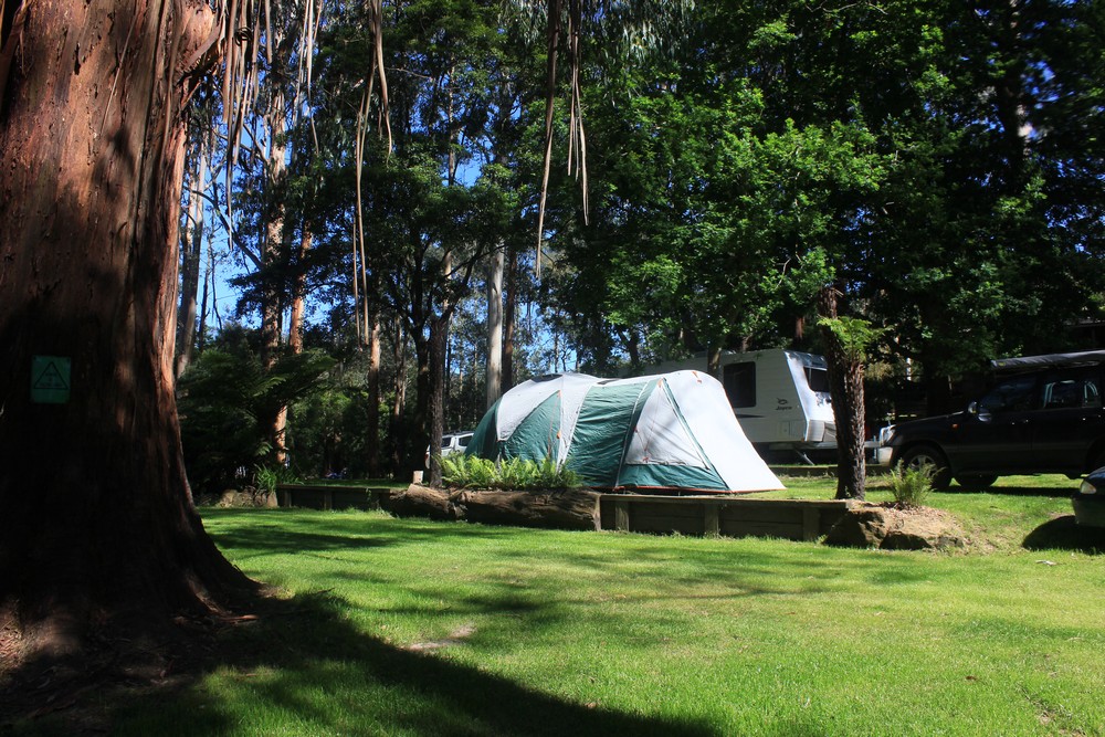 Tarra Valley Retreat Official Site