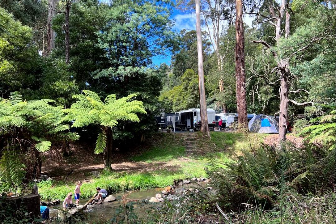 Tarra Valley Retreat Official Site - Sites