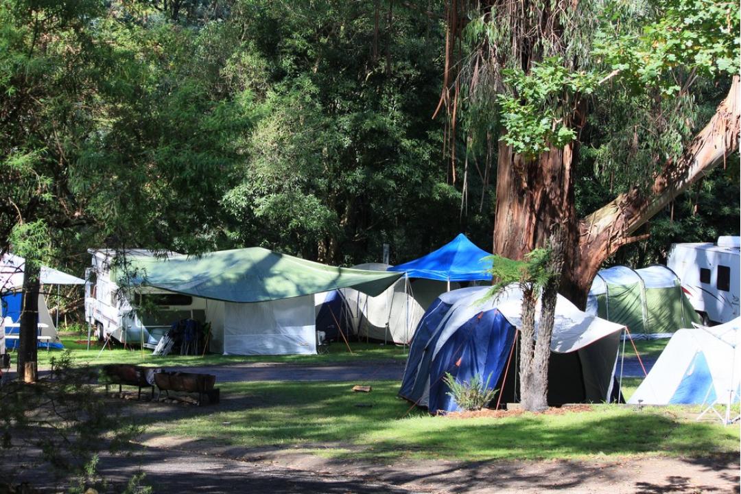 Tarra Valley Retreat Official Site - Sites