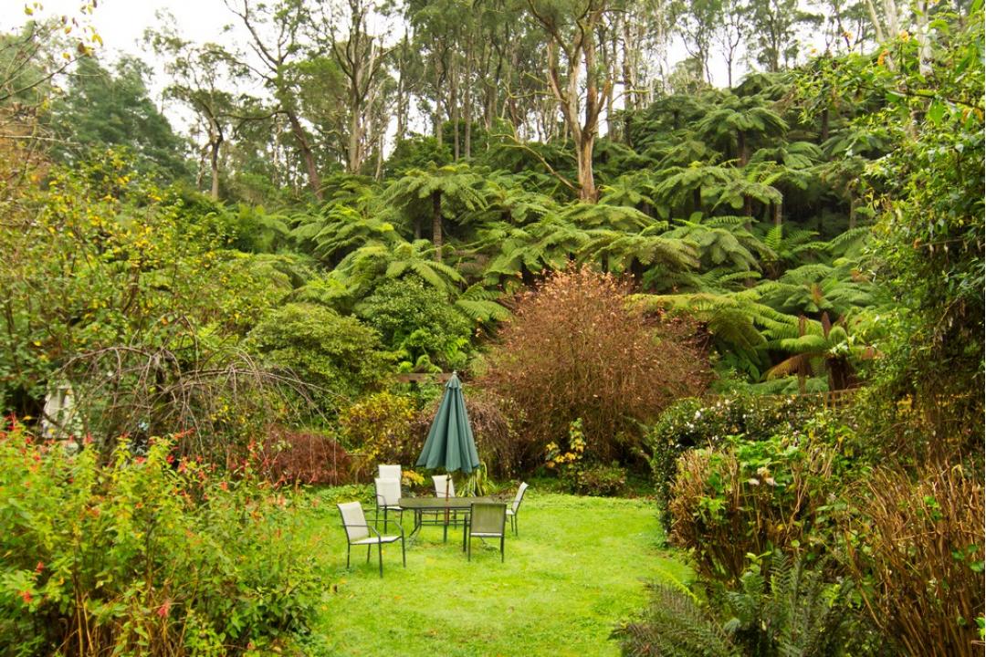Tarra Valley Retreat Official Site - Sites